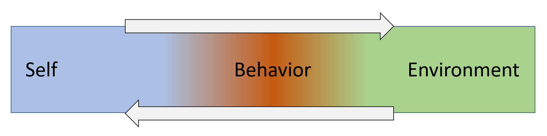 Behavior: on the border between the self and the environment – JUSTIN ...